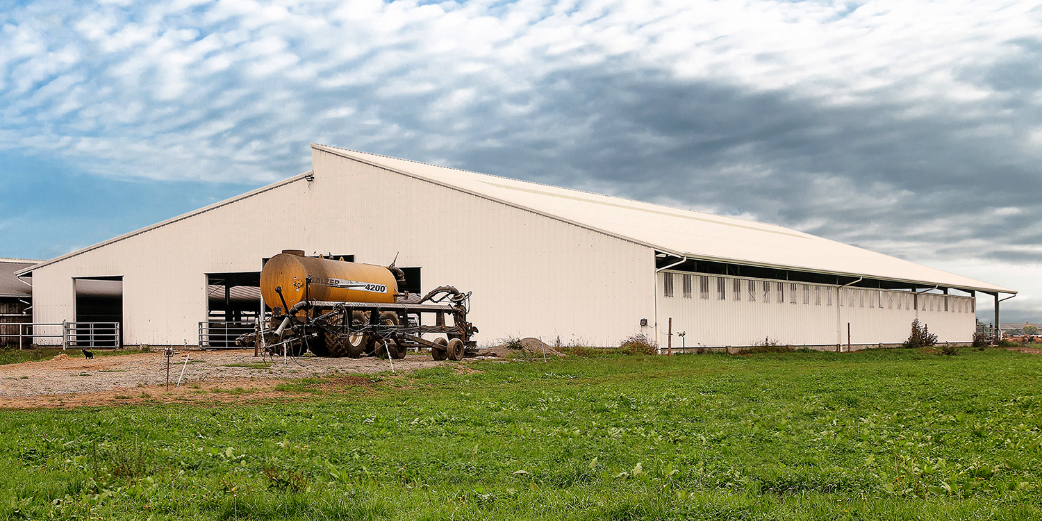 Brodt Dairy: Steel Livestock Barn | Custom Buildings | CBC Steel Buildings